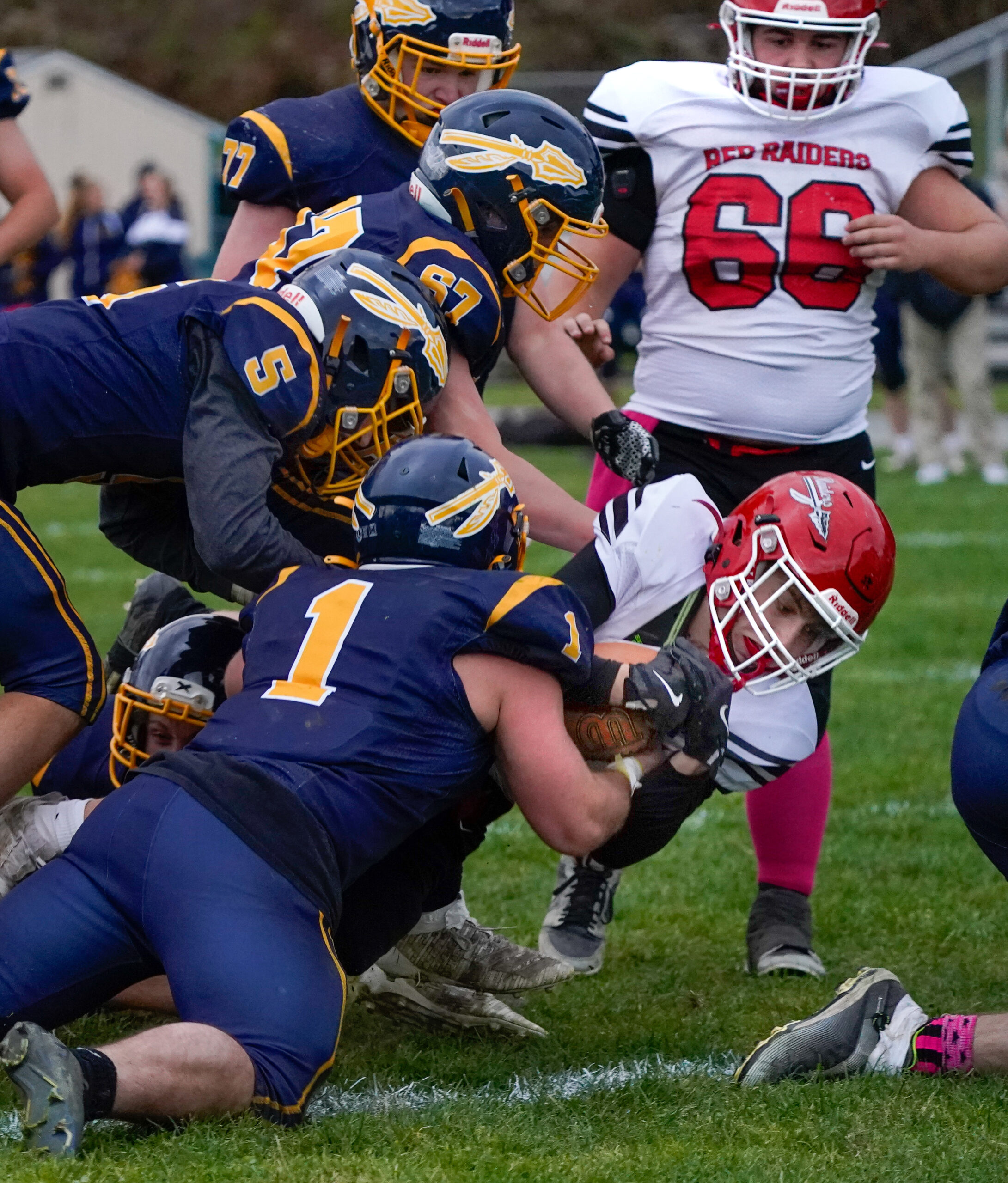 montg cow valley012 | News, Sports, Jobs - Williamsport Sun-Gazette